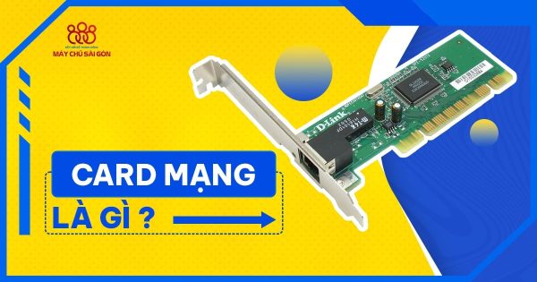 Card Mạng Là Gì? 6 Thành Phần Cơ Bản Nhất Của Card Mạng