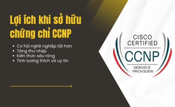 CCNP Là Gì? Lợi Ích Nhận Được Khi Sở Hữu Chứng Chỉ CCNP